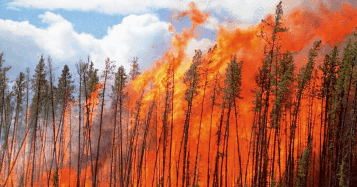 Open biomass burning | Black Carbon Policy Landscape